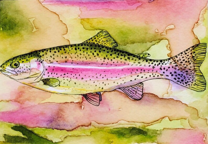 Rainbow trout Print 8 x 10 – CURIO Art Studio